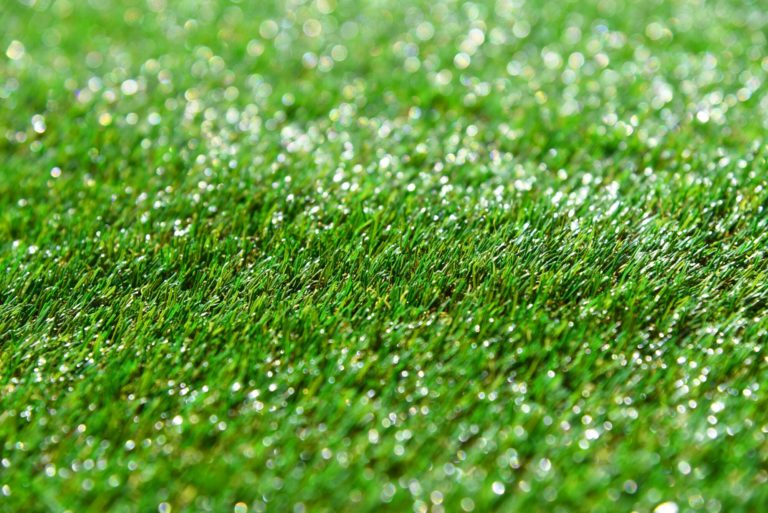 How to Choose the Right Type of Lawn Grass for Your Needs